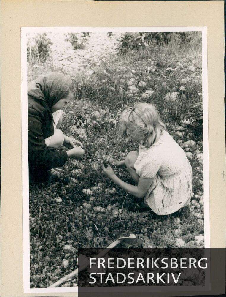 Feriekolonien Højstrup. To piger plukker blomster ved Højstrup ...