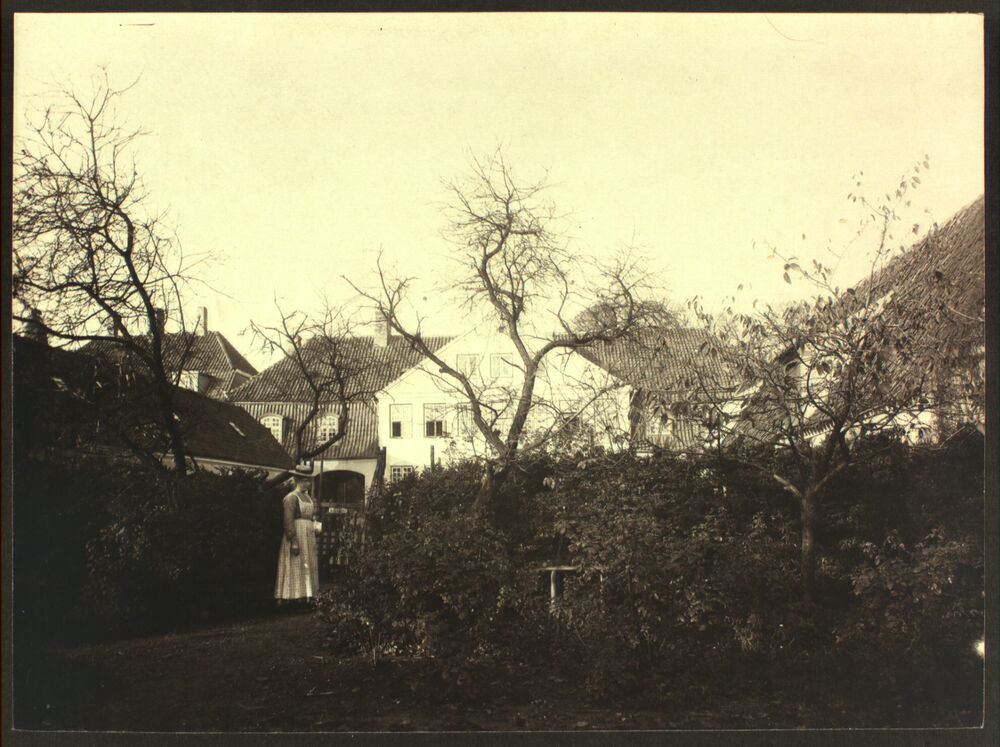 Haven bag Ludvigsminde - kbhbilleder.dk