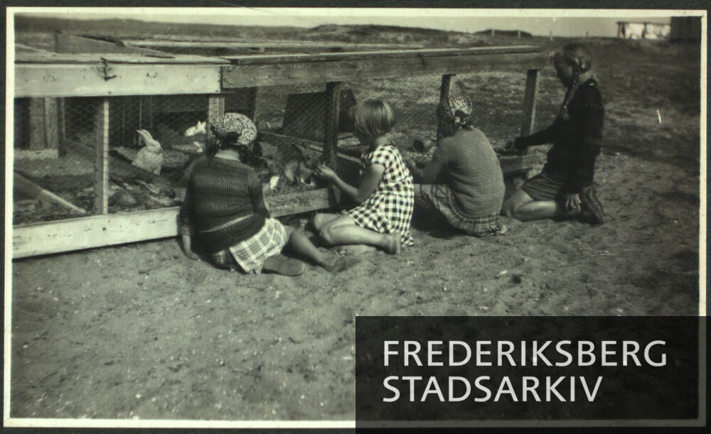 En flok piger ved kaninburene - kbhbilleder.dk