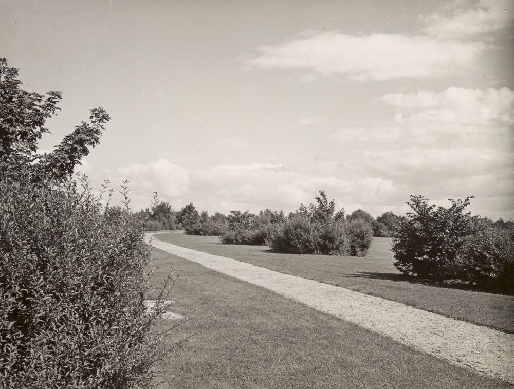 Valbyparken - kbhbilleder.dk