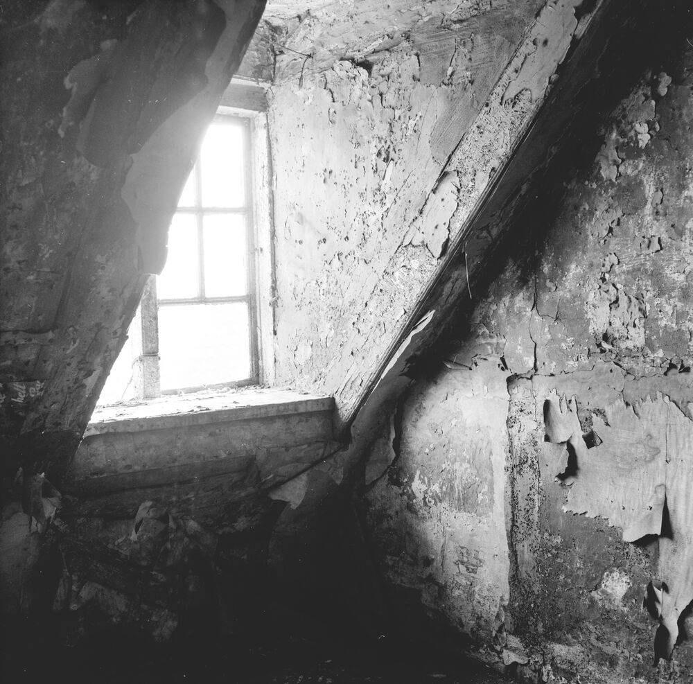 Kvist - kbhbilleder.dk