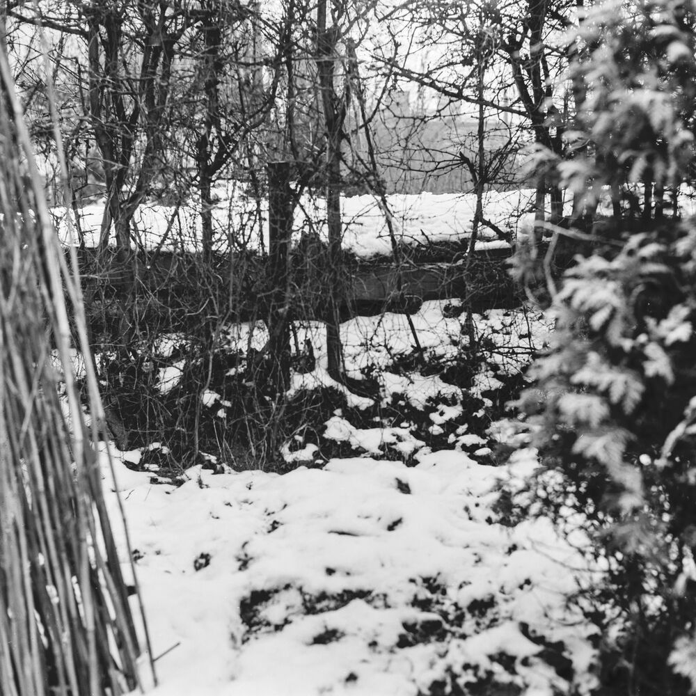 Bomhusvej 7 - kbhbilleder.dk