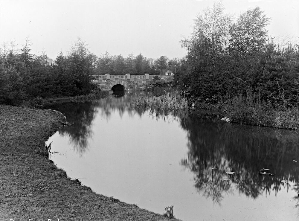 Fælledparken, søen - kbhbilleder.dk