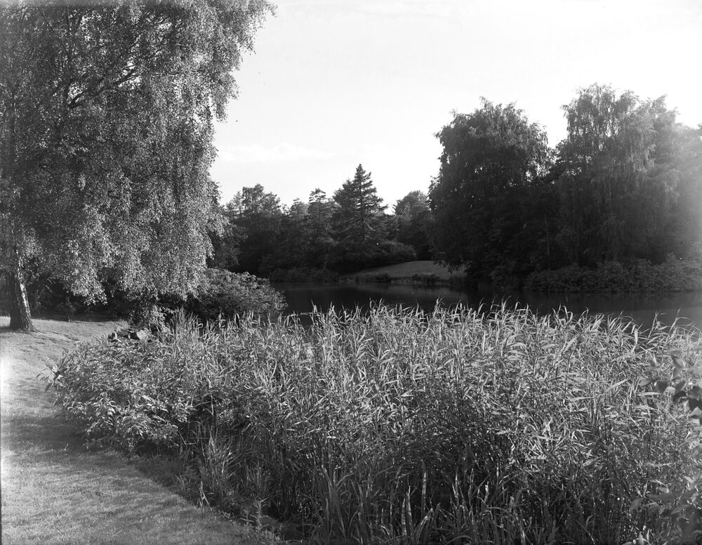 Fælledparken med søerne - kbhbilleder.dk